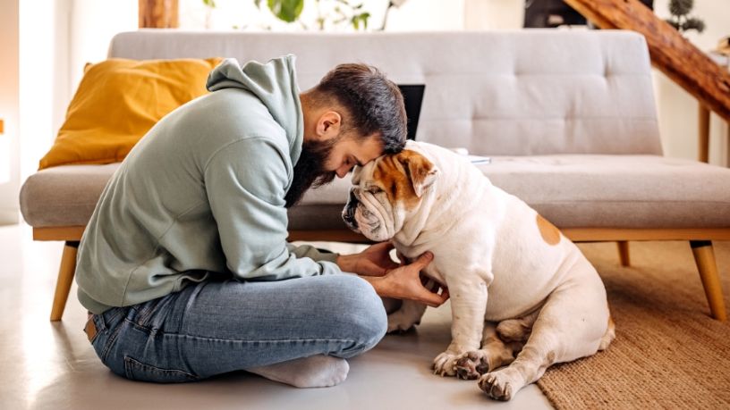 10 ways dogs boost our mental health